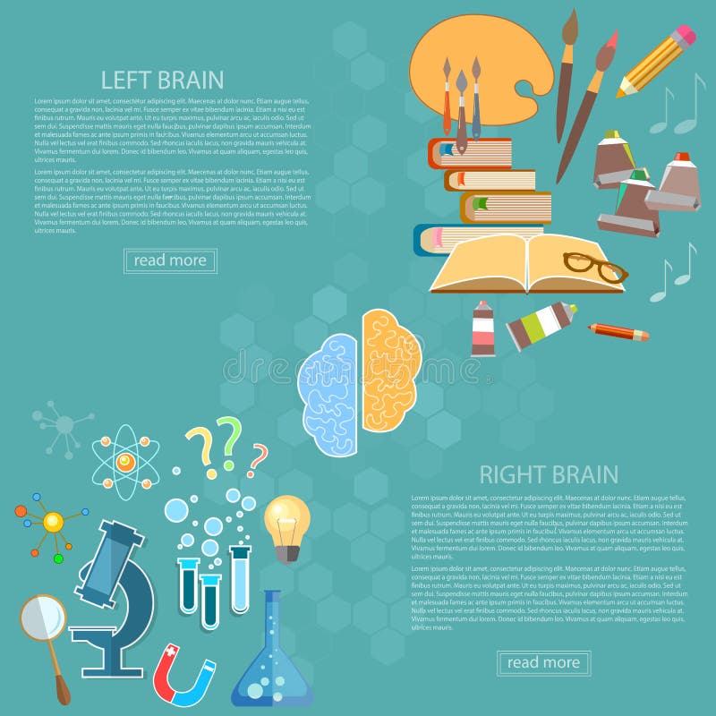 Left and Right Side of the Brain Logic and Creativity Stock Vector ...