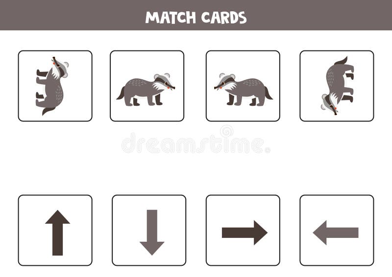 Left, Right, Up or Down. Spatial Orientation with Cute Badger Stock ...