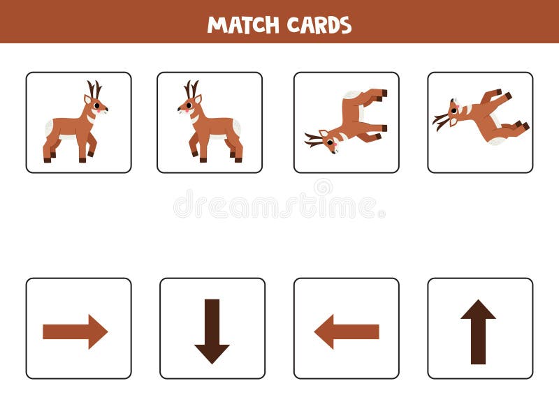 Left, Right, Up or Down. Spatial Orientation with Cute Brown Pronghorn ...