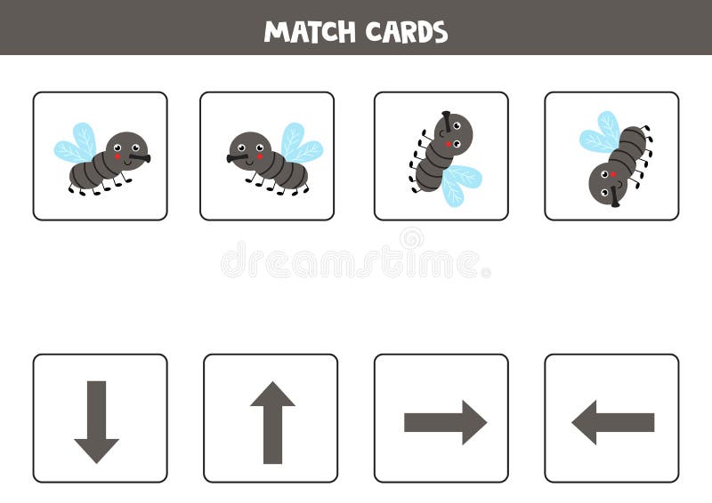 Left, Right, Up or Down. Spatial Orientation with Cute Fly. Stock ...