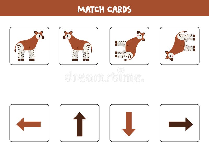 Left, Right, Up or Down. Spatial Orientation with Cute Okapis Stock ...