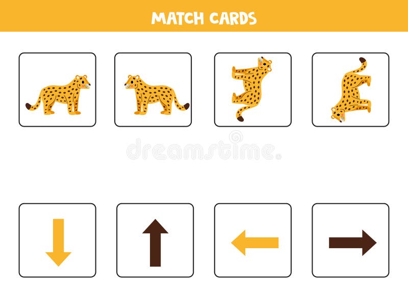 Left, Right, Up or Down. Spatial Orientation with Cute Yellow Jaguar or ...