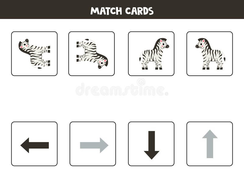 Left, Right, Up or Down. Spatial Orientation with Cute Zebras Stock ...