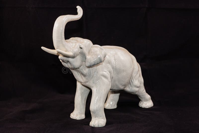 Left Side of Trumpeting Light Grey Elephant Stock Photo - Image of ...