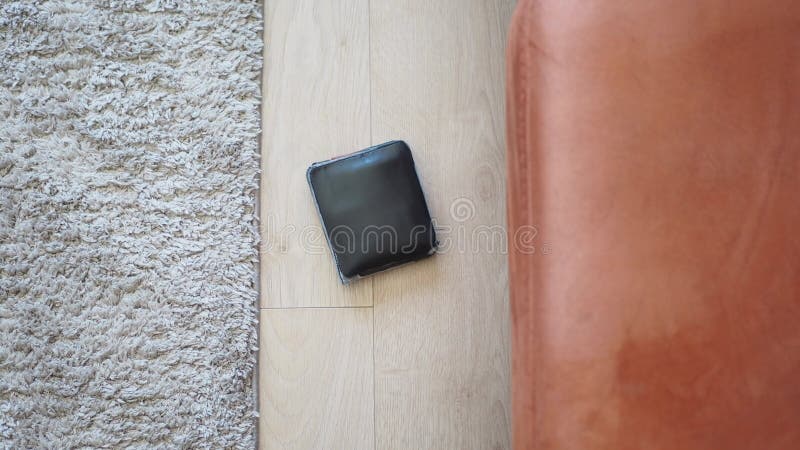Left Wallet on Floor at Home Stock Footage - Video of finance, savings ...
