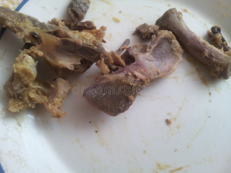 Leftover Chicken Stir Fry stock image. Image of traditional - 102573955