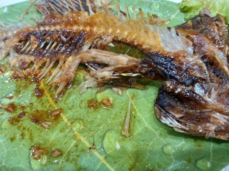 Leftover Fish Bones at Dinner at the Restaurant Stock Photo - Image of ...