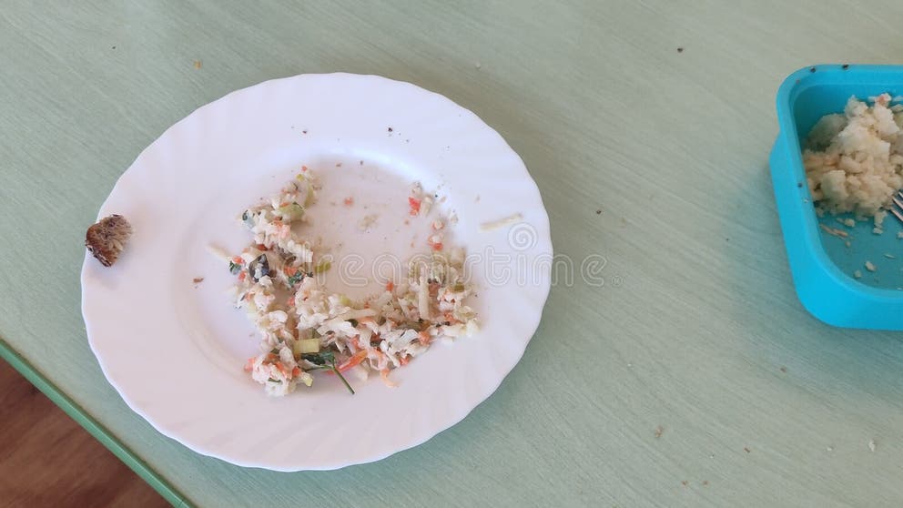 Leftover Food in a Container and Plate on the Table Stock Image - Image ...