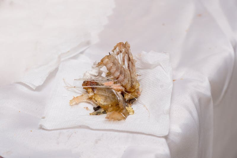 Leftover Food and Fish Bones on Napkin Stock Image - Image of breakfast ...