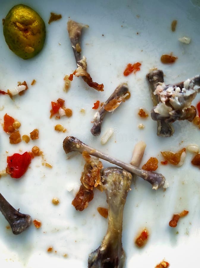 Leftover Food in Photograph Stock Image - Image of fish, baking: 227762763