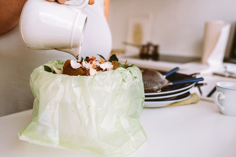 Leftover Food in Trash Can in Kitchen Stock Image - Image of ecology ...