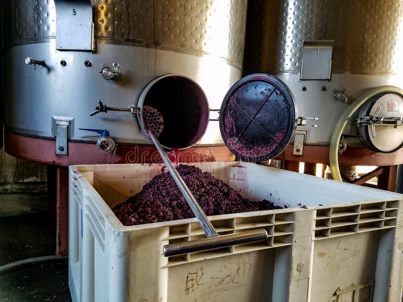 Wine grape pulp stock image. Image of country, left - 106065975