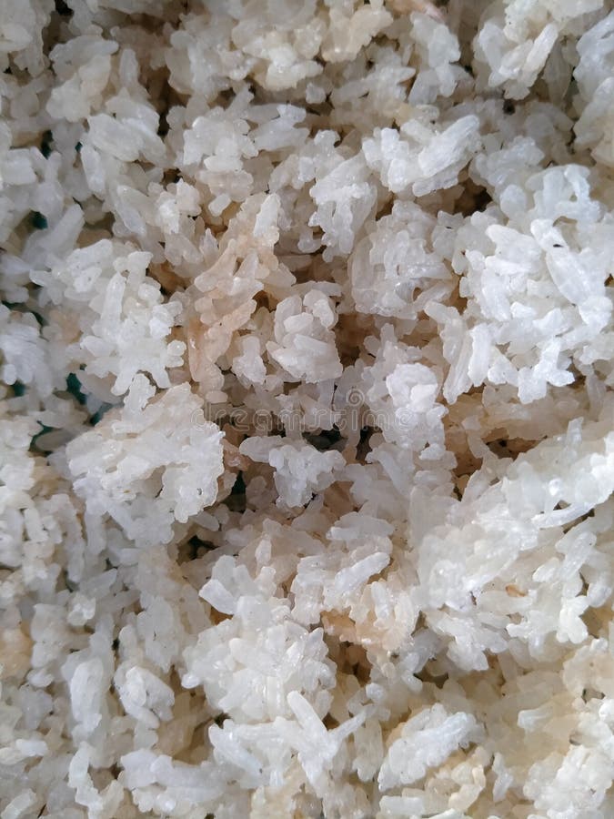 Leftover rice stock photo. Image of outdoor, texture - 162272038