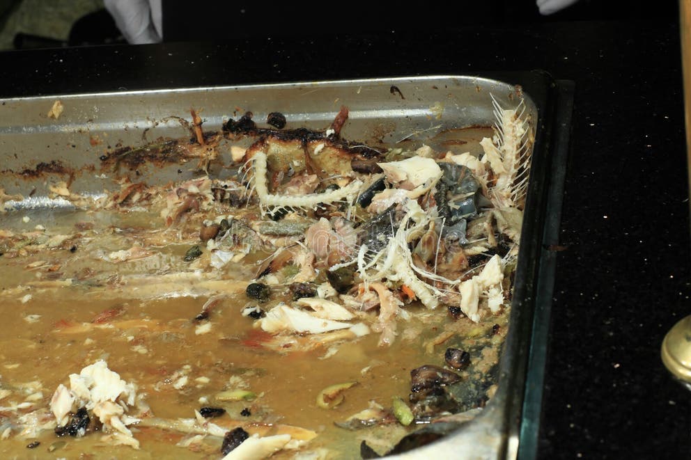 Leftovers of baked fish stock image. Image of food, lunch - 46873371