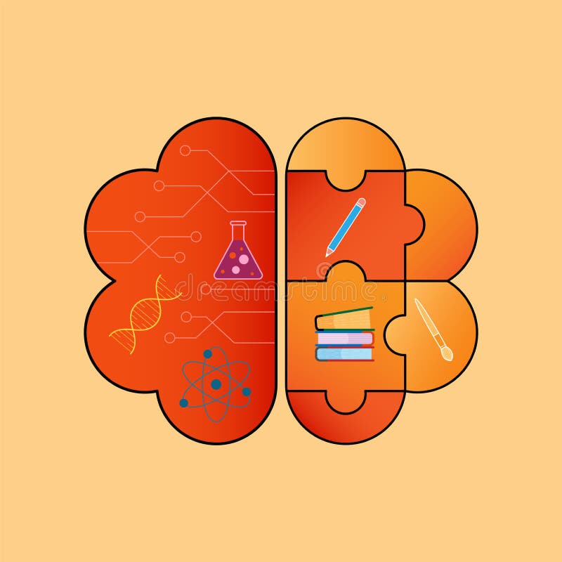 Left Right Brain Function stock vector. Illustration of book - 212129811 Left Right Brain Function stock vector. Illustration of book - 212129811