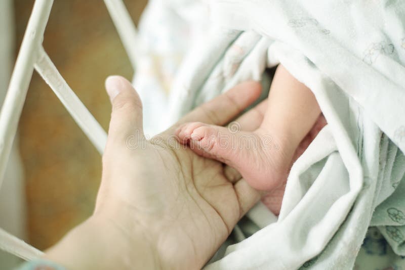 Leg baby five days old stock photo. Image of feet, little - 57537224