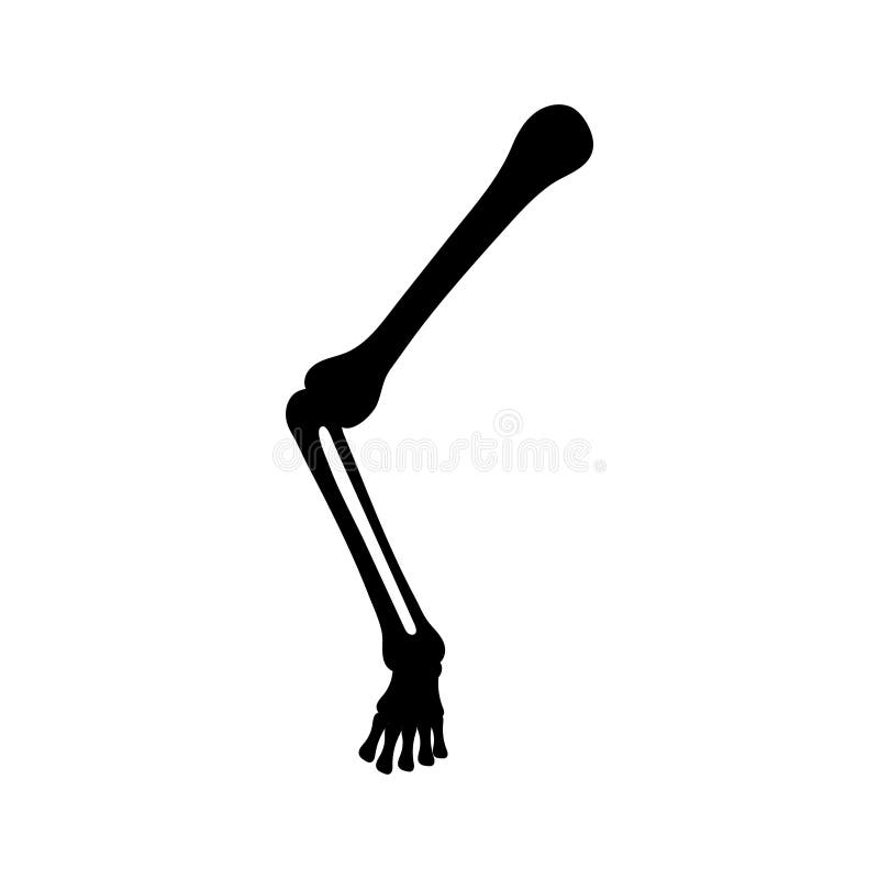 Leg Bones Icon Design Template Vector Isolated Stock Illustration ...