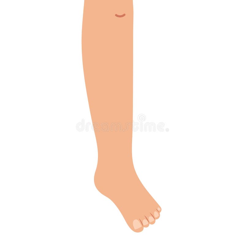Human Body Kids Stock Illustrations – 4,751 Human Body Kids Stock ...
