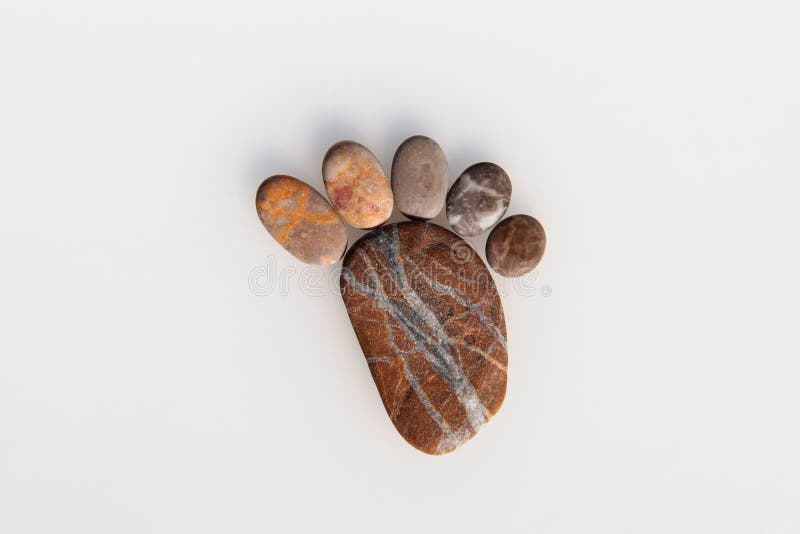 A Leg Made of Sea Stones. Marine Background Stock Image - Image of ...