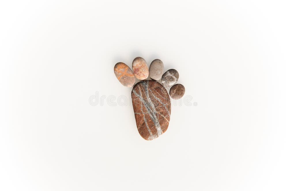 A Leg Made of Sea Stones. Marine Background Stock Image - Image of ...