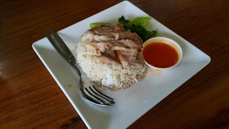 Leg pork soup on rice stock photo. Image of rice, soup - 76081544