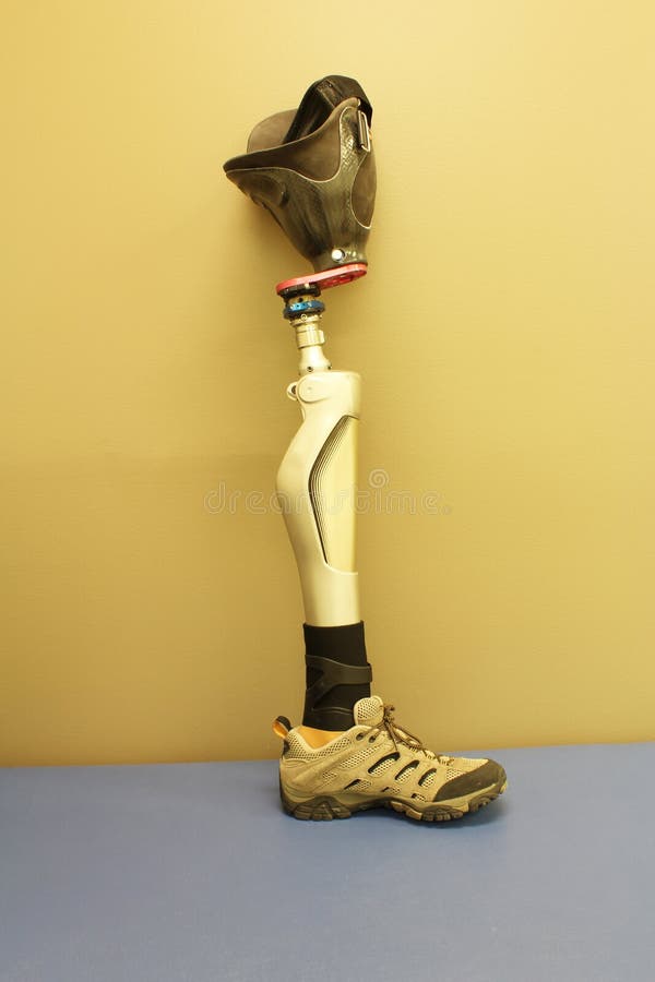 Leg Prosthesis with Socket and Shoe Stock Photo - Image of knee ...