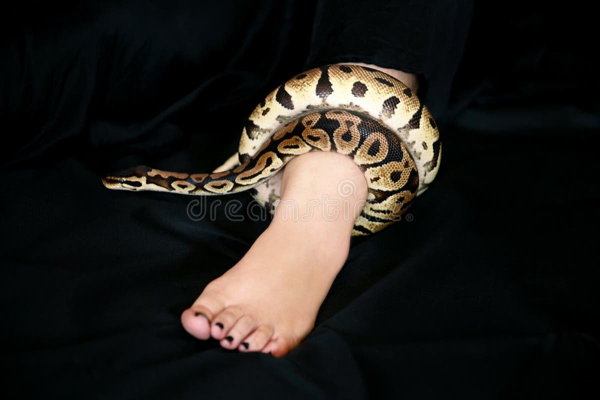 Leg Snakes Stock Photos - Free & Royalty-Free Stock Photos from Dreamstime