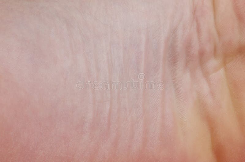Leg Skin of a Man. Abstract Shot Stock Photo - Image of hygiene ...