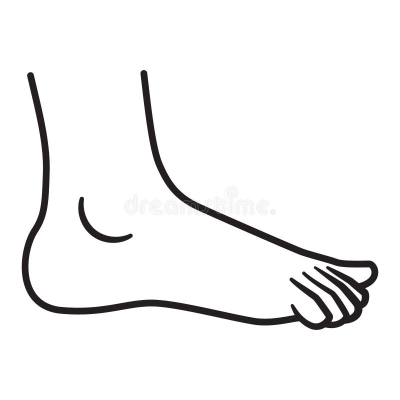 Leg. Vector Illustration Decorative Design Stock Vector - Illustration ...