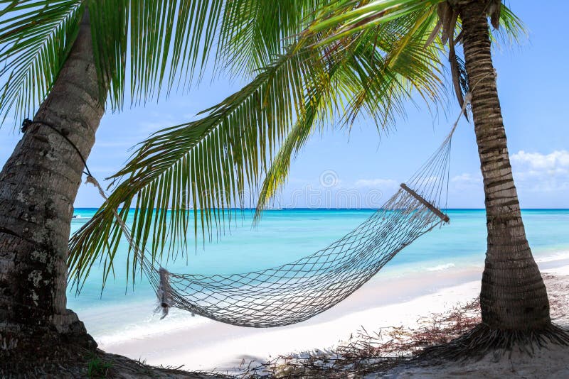 Lege Hangmat Op Een Tropisch Strand Stock Foto - Image of droom ...
