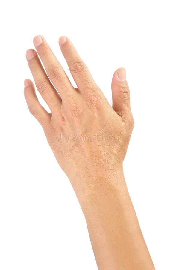 Lege open mensenhand stock afbeelding. Image of manicuur - 29041249