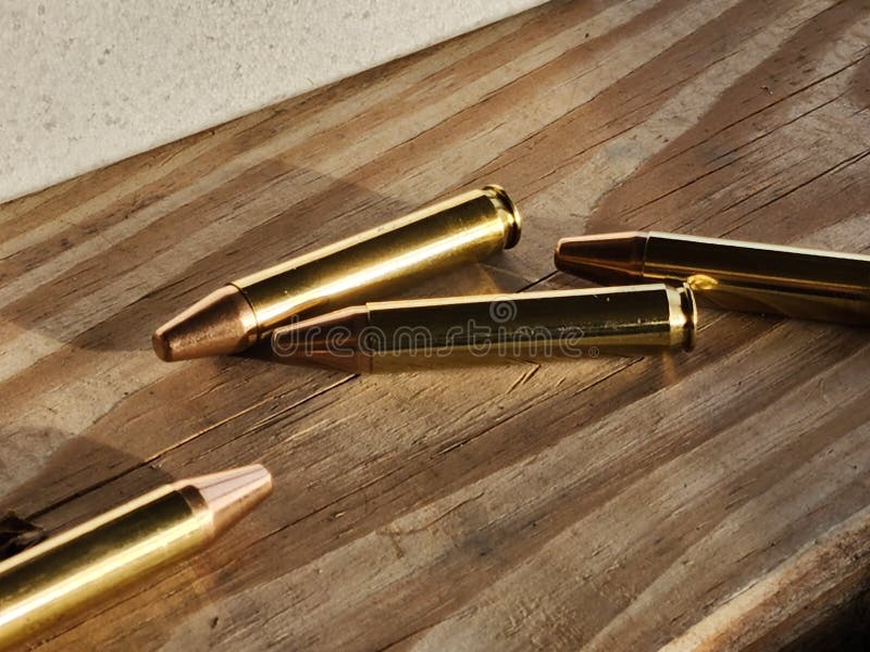 350 Legend Rifle shells stock photo. Image of defense - 263044690