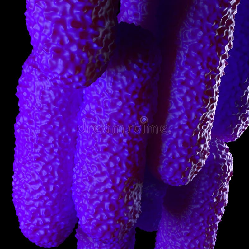 Legionella Pneumophila Bacteria, Artwork Stock Illustration ...