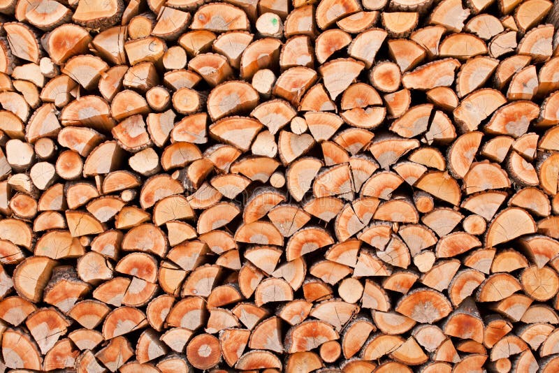 Legna Da Ardere Del Legno Di Betulla Fotografia Stock - Immagine di ...