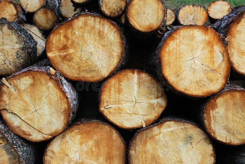 Legname fotografia stock. Immagine di estratto, tronco - 5527288
