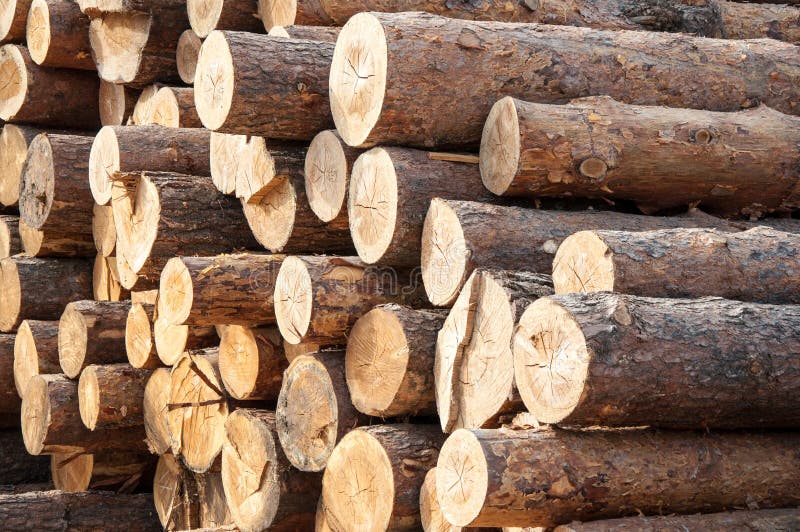 Legname O Legname Della Sega Immagine Stock - Immagine di costruttore ...