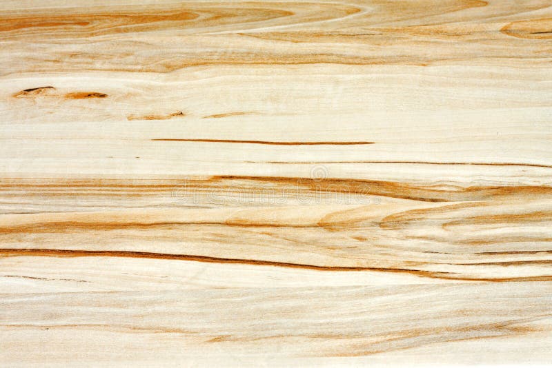 Legno chiaro fotografia stock. Immagine di contesto, hardwood - 5789324