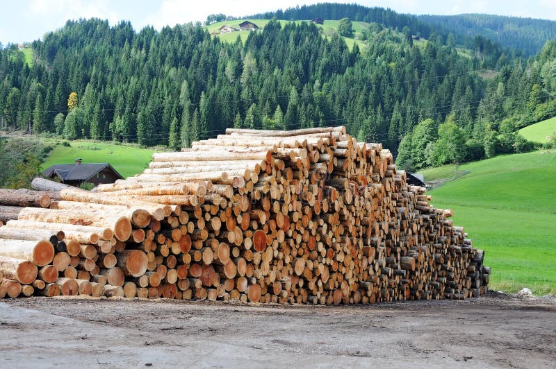 Legno Del Legname a Produzione Immagine Stock - Immagine di legno ...