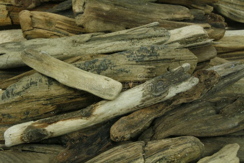Legno del mare immagine stock. Immagine di sole, raccolto - 13487503