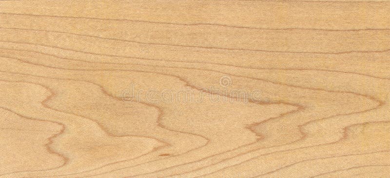 Struttura Di Legno Dell'acero Immagine Stock - Immagine di contesto ...