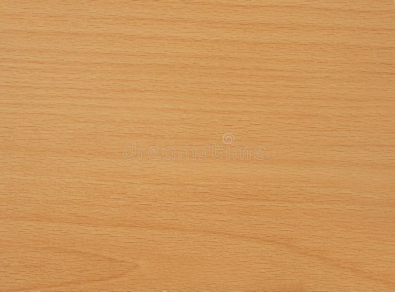 Legno di faggio immagine stock. Immagine di struttura - 7180679