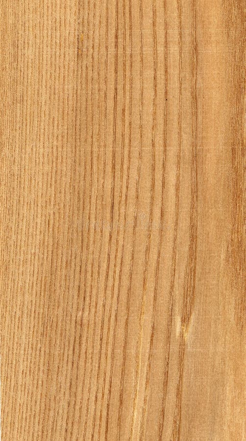 Legno dell'olmo immagine stock. Immagine di olmo, piano - 3408999