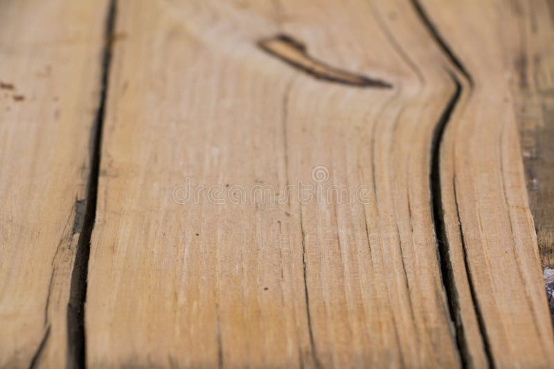 Legno di quercia fotografia stock. Immagine di materiale - 98147704