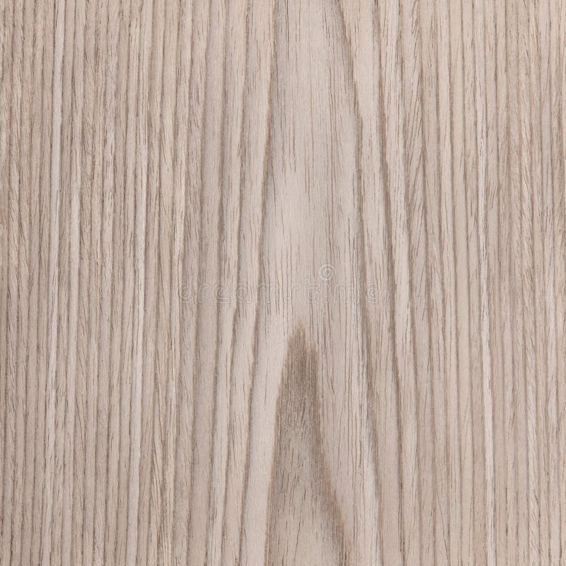 Campione Di Legno - Ontano Del Carattere Immagine Stock - Immagine di ...