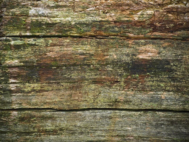 Vecchio legno marcio fotografia stock. Immagine di foto - 108987134