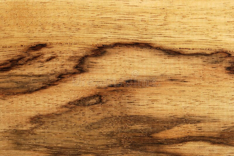 Legno Spalted Africano (limba) Immagine Stock - Immagine di arte ...