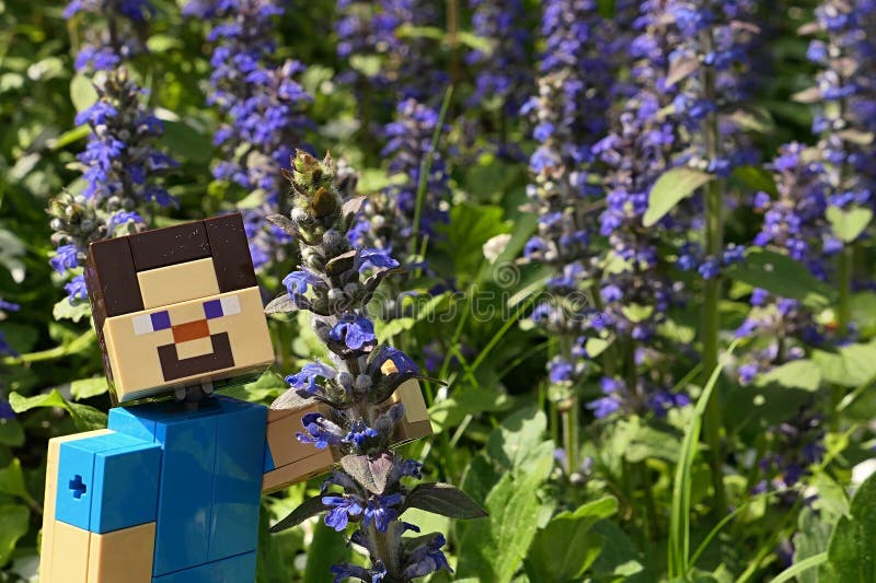 Lego Minecraft Large Action Figure Of Smiling Steve Touching Blue