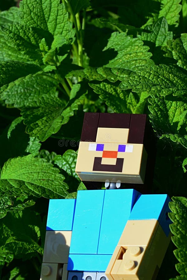 Lego Minecraft Large Action Figure Of Steve Main Character Relaxing And
