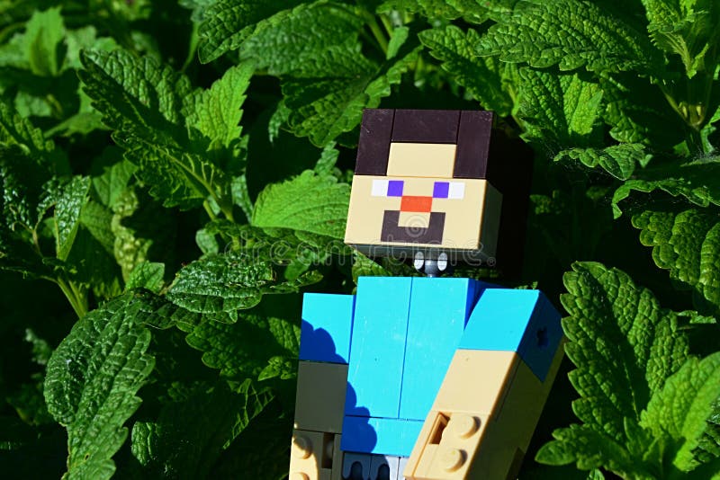 Lego Minecraft Large Figure Of Steve Relaxing In Fresh Green Herb
