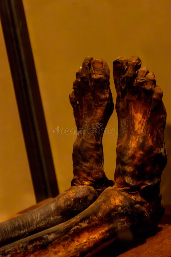 Legs of Ancient Mummy Close-up Editorial Stock Image - Image of egypt ...